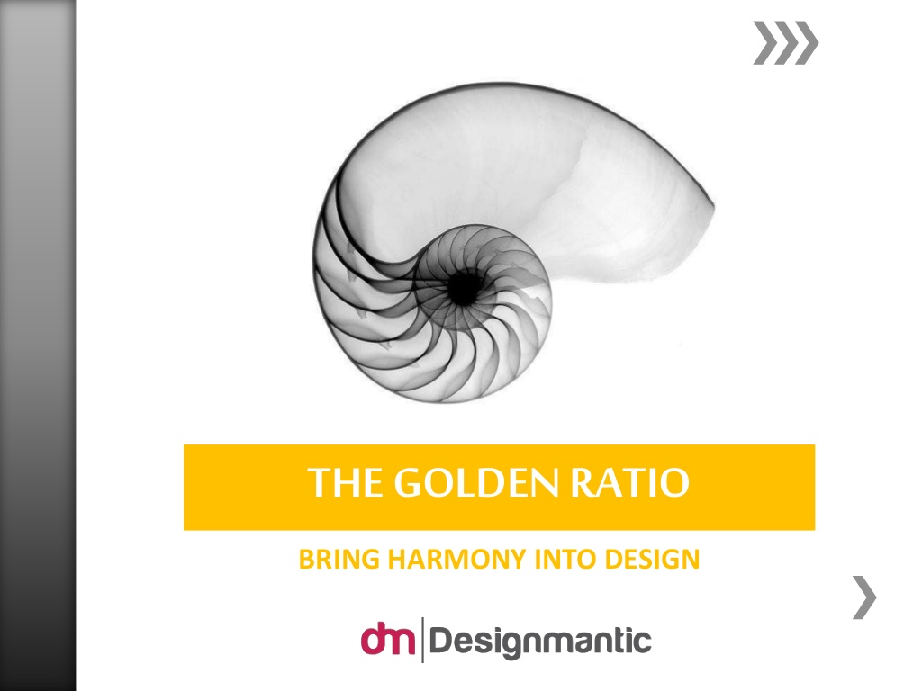 Golden Ratio in Design | DesignMantic: The Design Shop