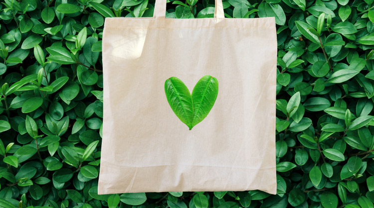 What Is Sustainable Branding? | DesignMantic: The Design Shop