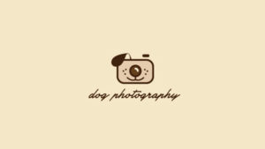 Photography Logo Fonts | DesignMantic: The Design Shop