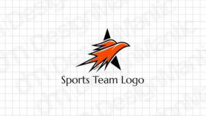 Professional Sports Logo Designs For Sports Team | DesignMantic: The ...