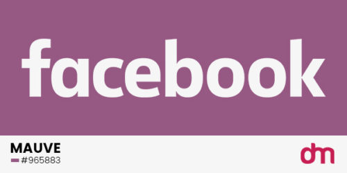 5 Color Suggestions For Facebook New Logo | DesignMantic: The Design Shop