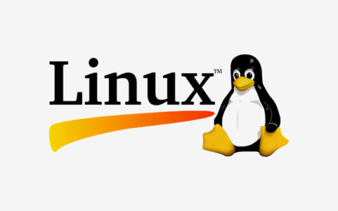 A Collection of Iconic Bird Logos | DesignMantic: The Design Shop