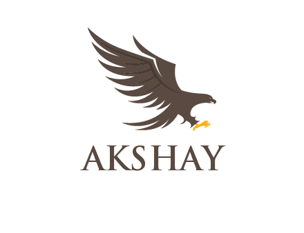 Name Akshay Logo